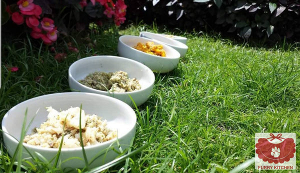 CUSTOM DIET – FURRY KITCHEN