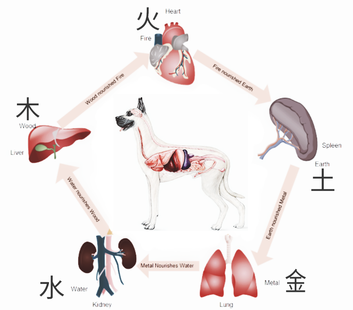 季節限定 SEASONAL SPECIAL – Furry Kitchen