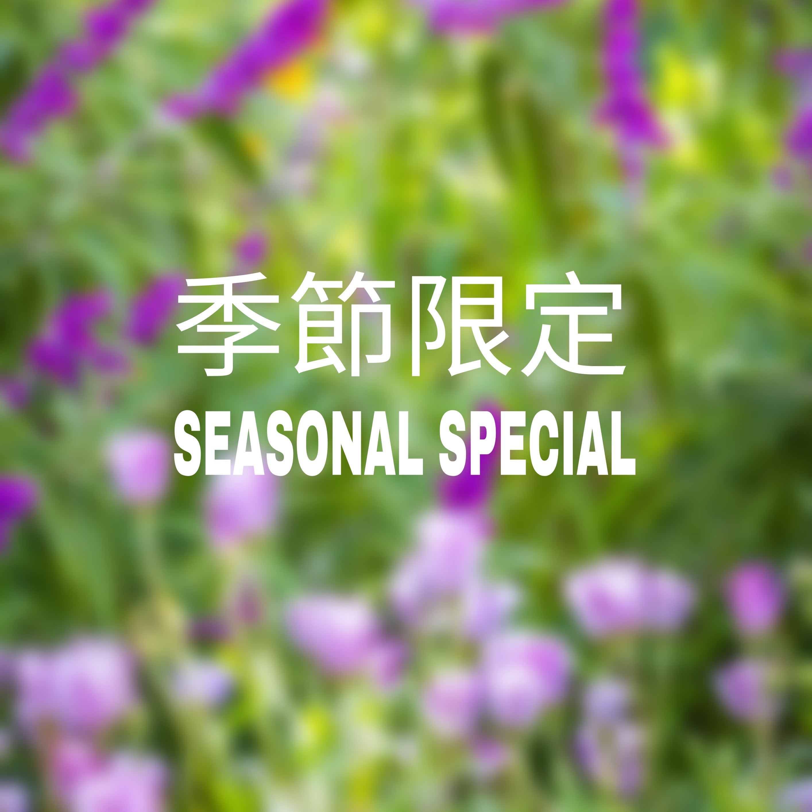 季節限定 SEASONAL SPECIAL – Furry Kitchen