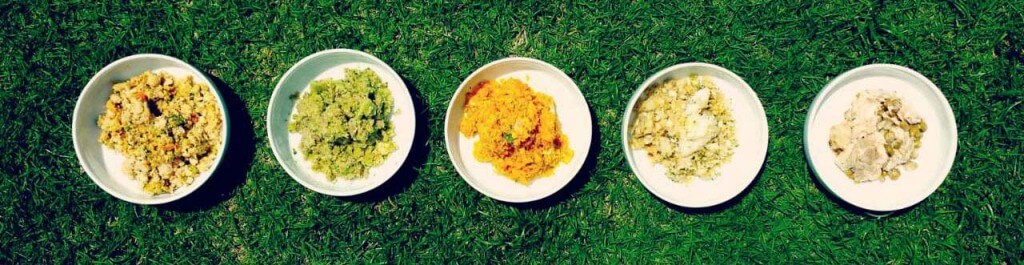 Our Story 我們 – Furry Kitchen